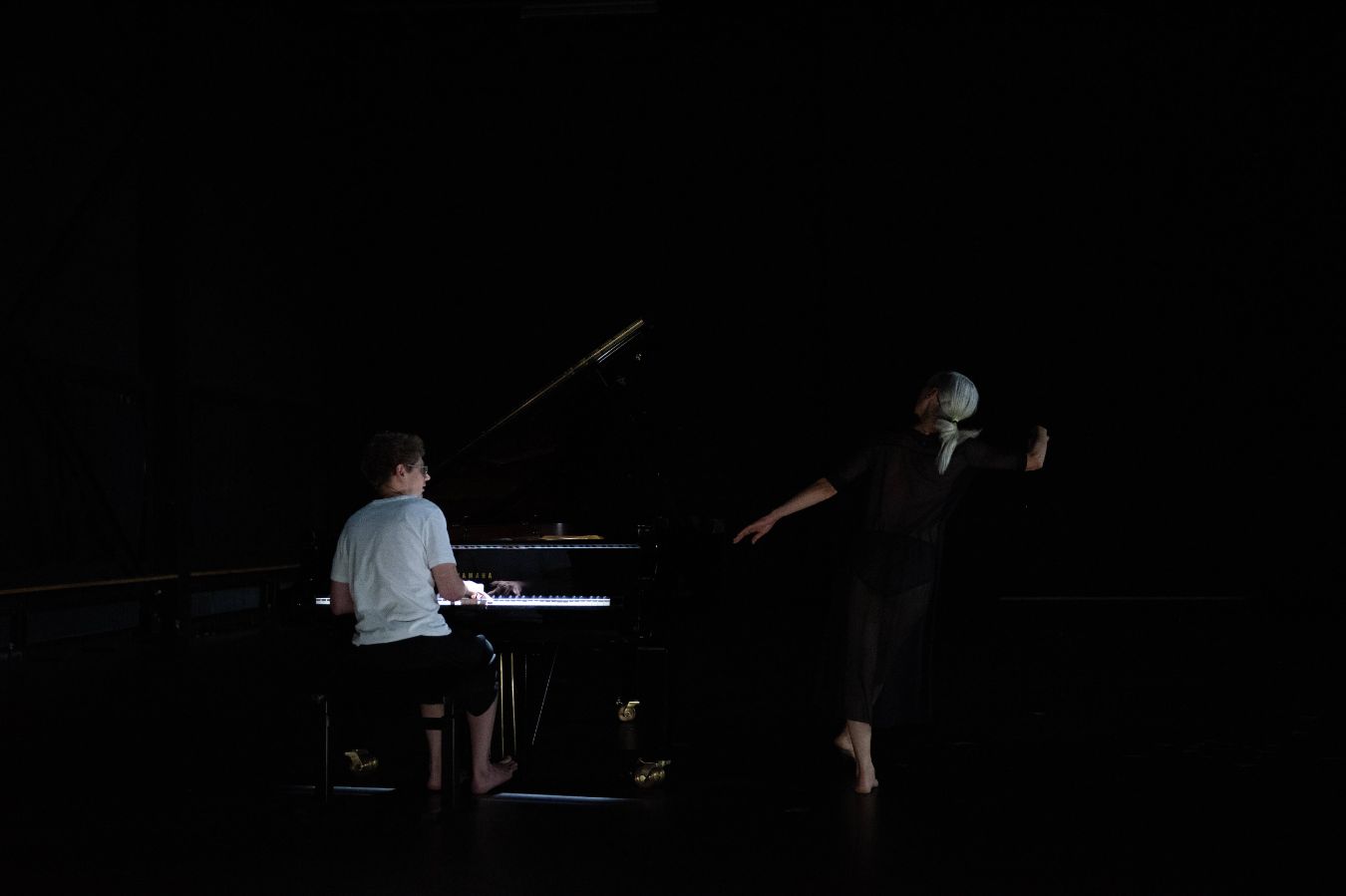 The Goldberg Variations, BWV 988